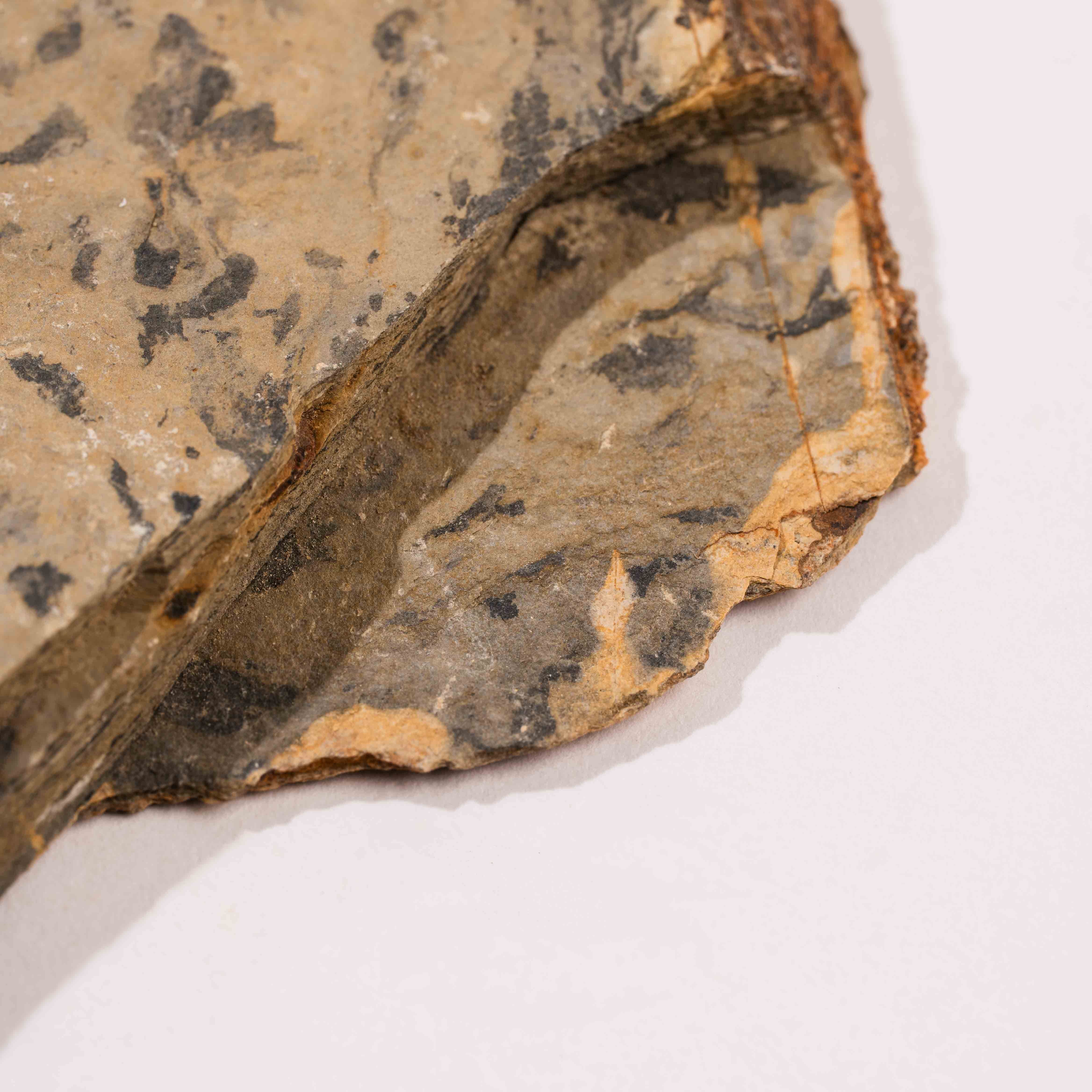 Slaty Shale Record - Earth Love Gallery Collection – Pink Heart Healing