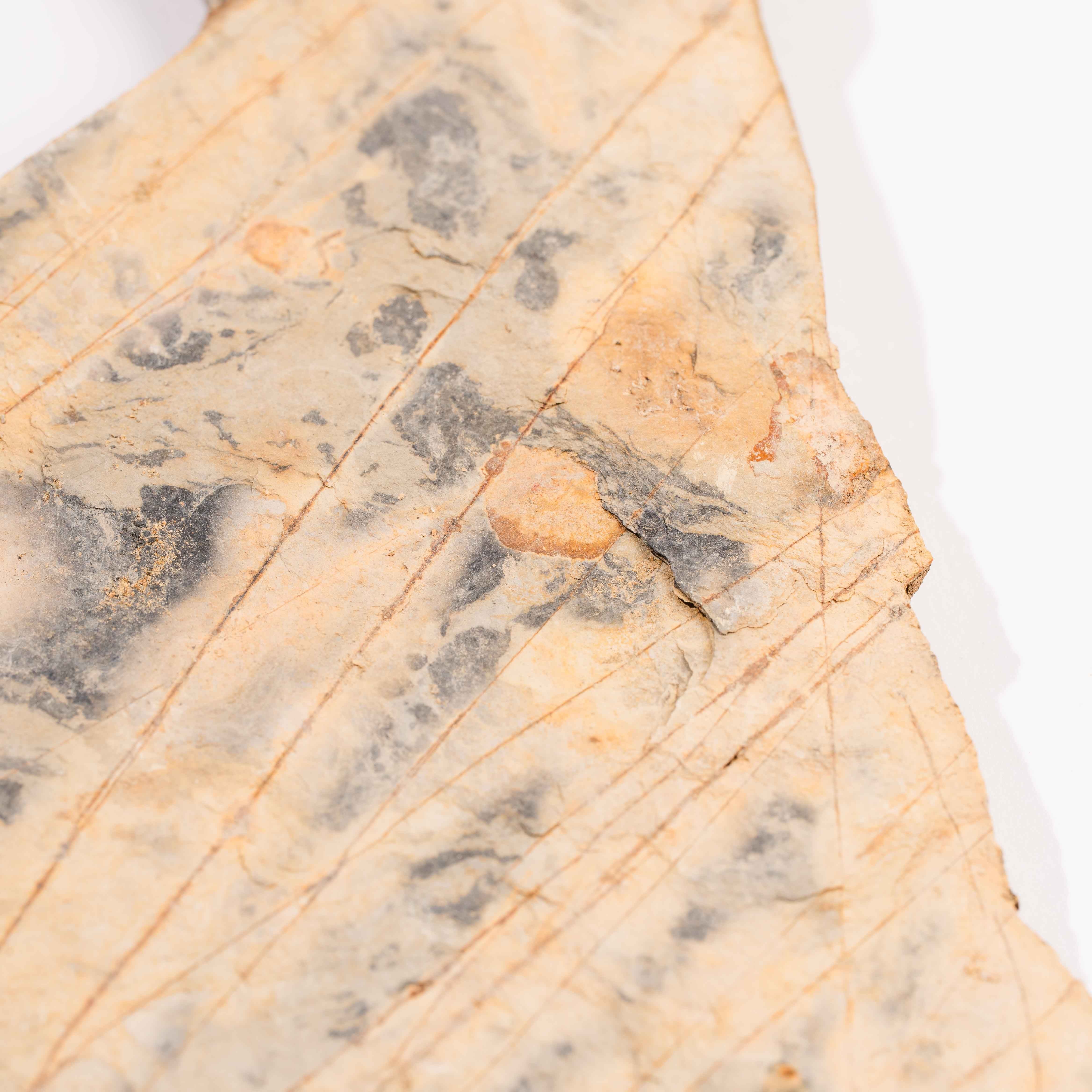 Slaty Shale Record - Earth Love Gallery Collection – Pink Heart Healing