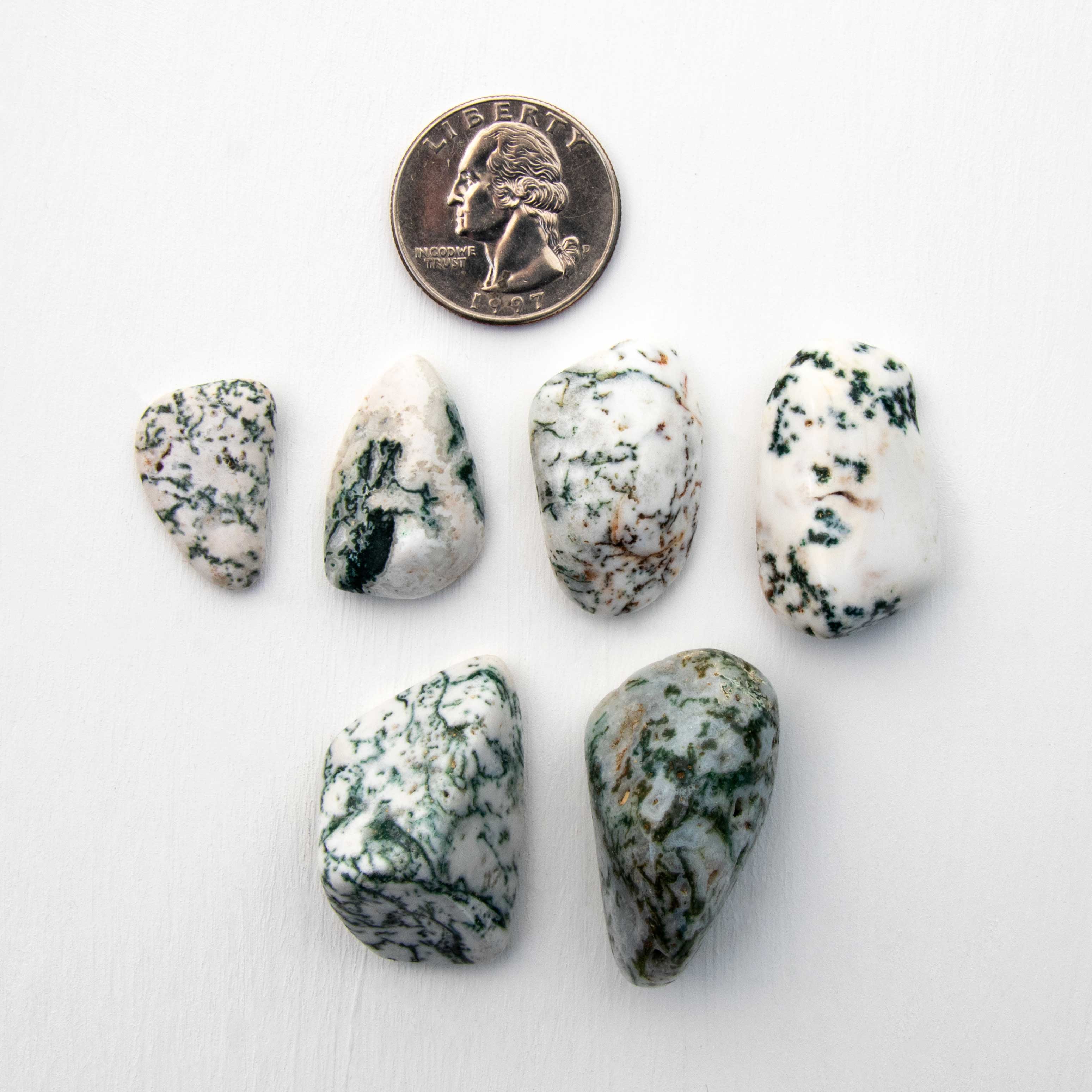 Agate, Tree - Tumbled – Pink Heart Healing